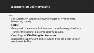 culture media preparation & cell harvesting methods..pptx