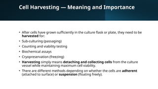 culture media preparation & cell harvesting methods..pptx