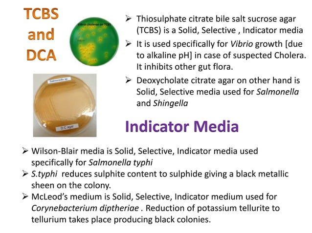 Culture Media Presentation | PPTX