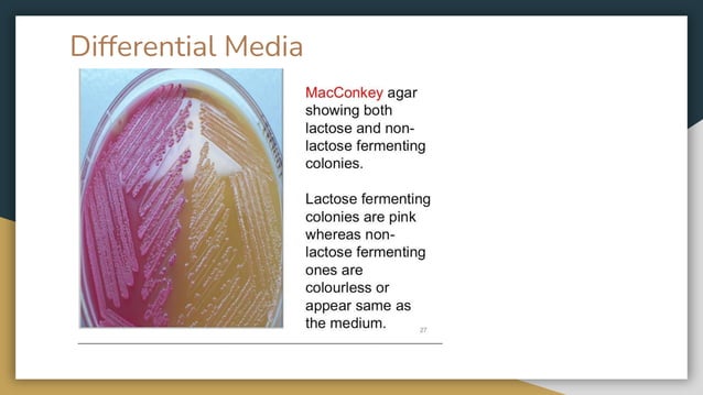 Culture Media presentation Microbiology 2nd year topic | PPT