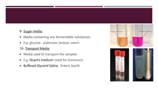 Culture Media & Sterilization Methods.pptx