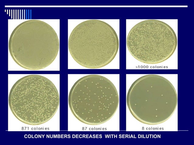 Culture methods | PPT