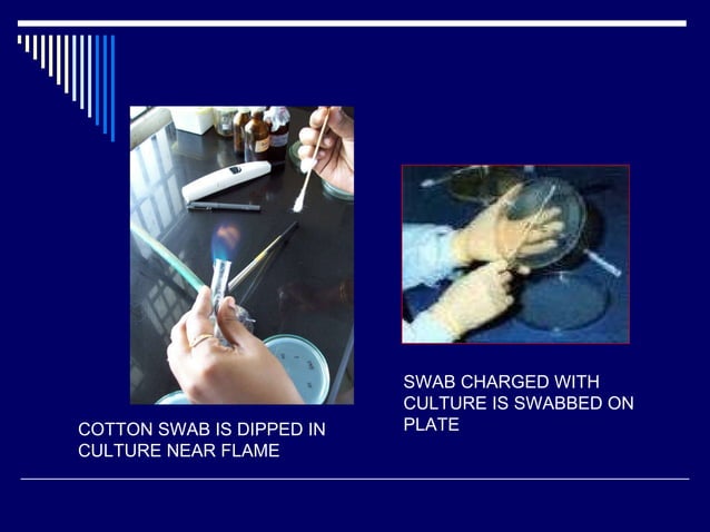 Culture methods | PPT