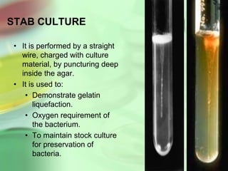 Bacterial Culture methods and method of anaerobiosis | PPTX