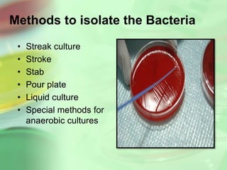 Bacterial Culture methods and method of anaerobiosis | PPTX