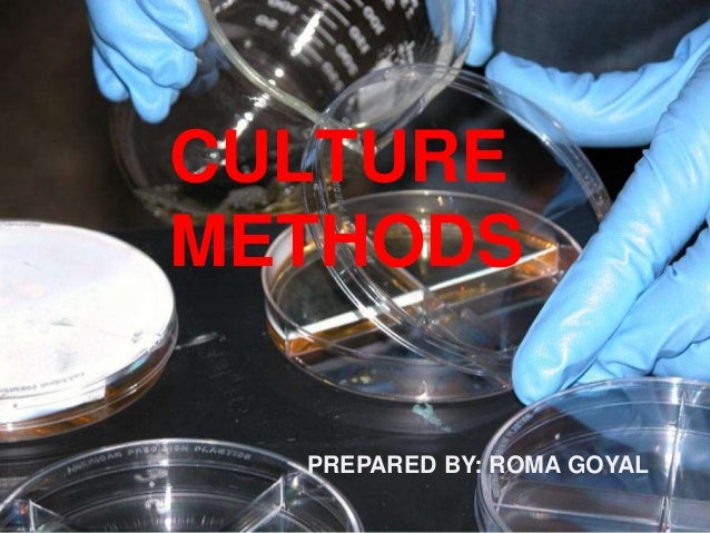 Culture methods