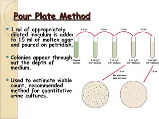 Culture methods | PPT