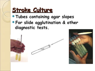 Culture methods | PPT