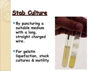 Culture methods | PPT