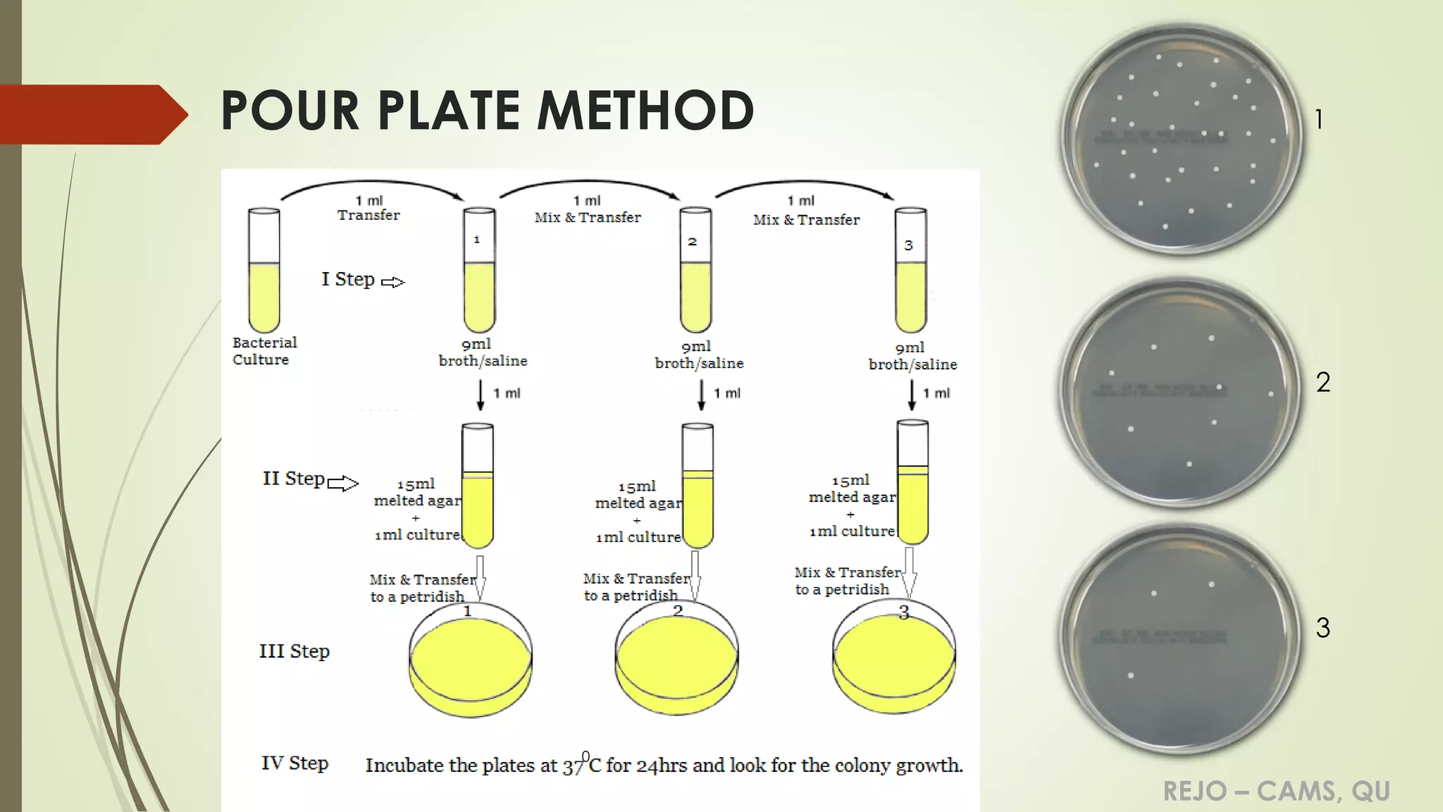 Bacterial Culture methods | PDF