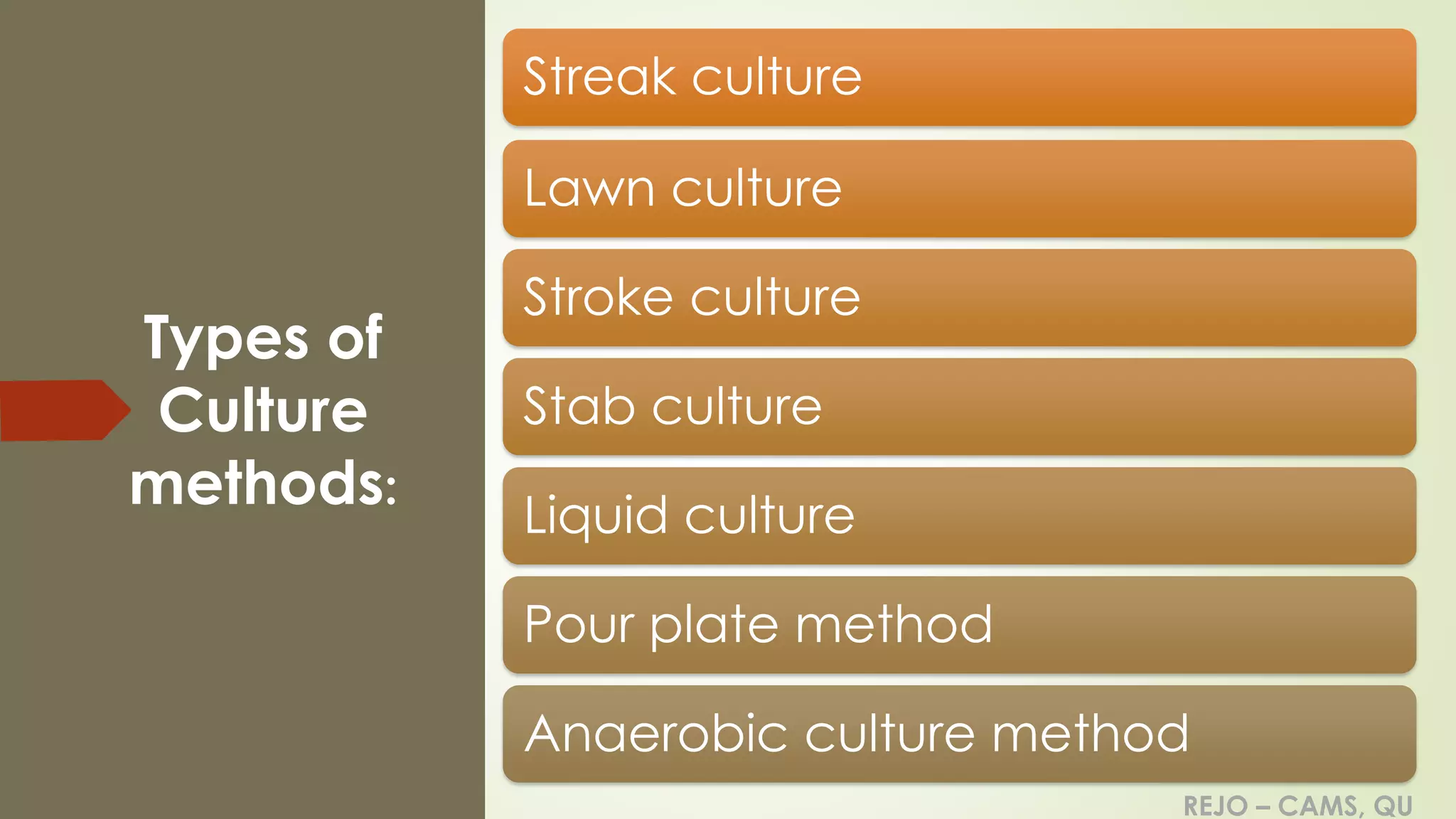 Bacterial Culture methods | PDF