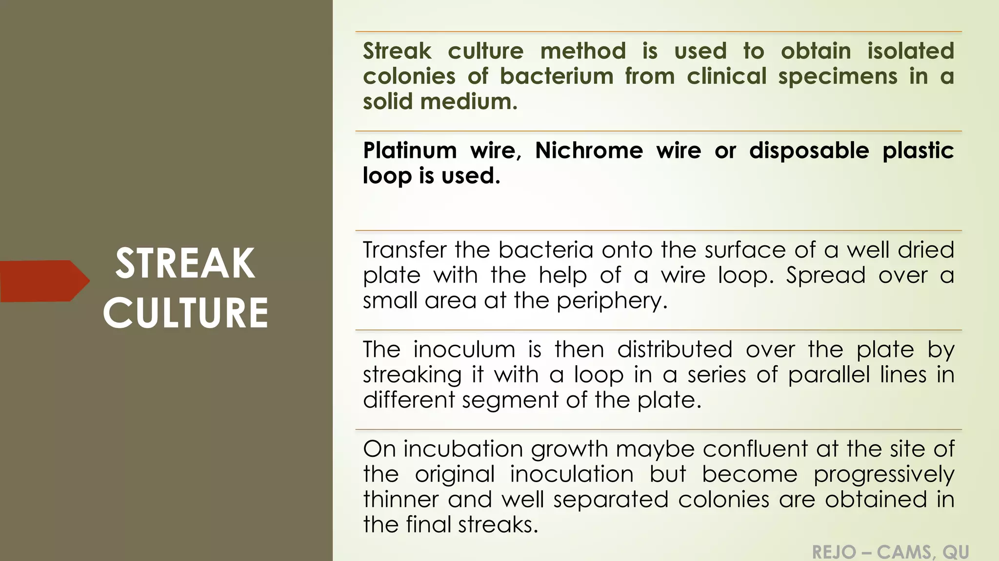 Bacterial Culture methods | PDF