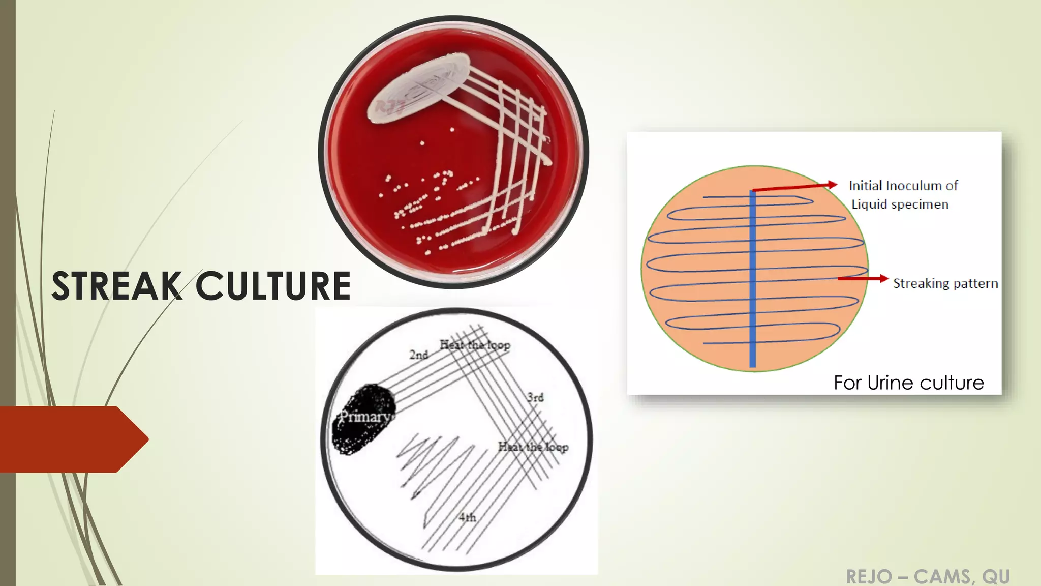 Bacterial Culture methods | PDF