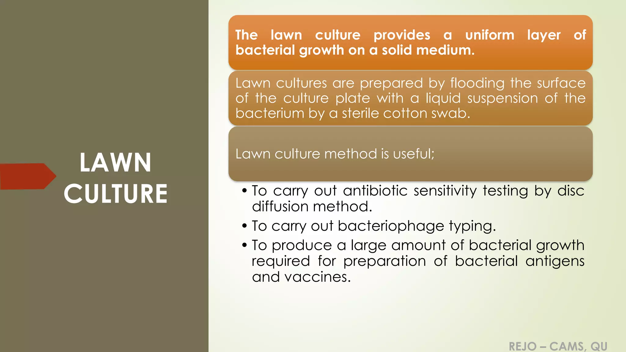 Bacterial Culture methods | PDF