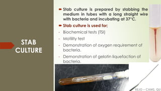 Bacterial Culture methods | PDF
