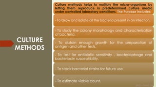 Bacterial Culture methods | PDF