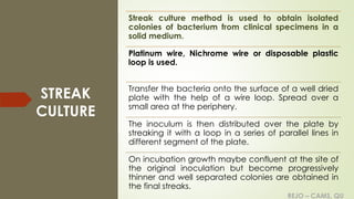 Bacterial Culture methods | PDF