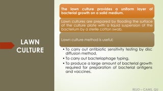 Bacterial Culture methods | PDF