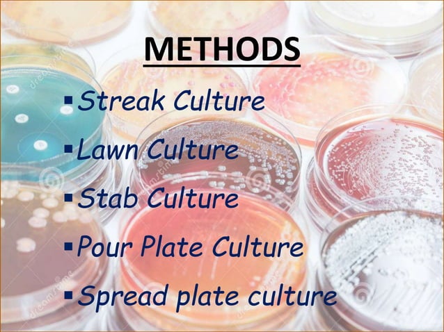 CULTURE METHODS | PPTX | Infectious Diseases | Diseases and Conditions