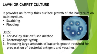Culture methods ^J preparation and sterilization of media.pptx