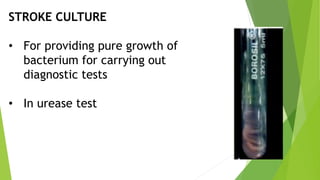 Culture methods ^J preparation and sterilization of media.pptx