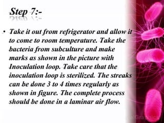 Culture of bacteria | PPTX