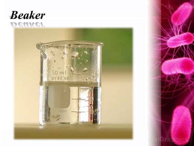 Culture of bacteria | PPTX