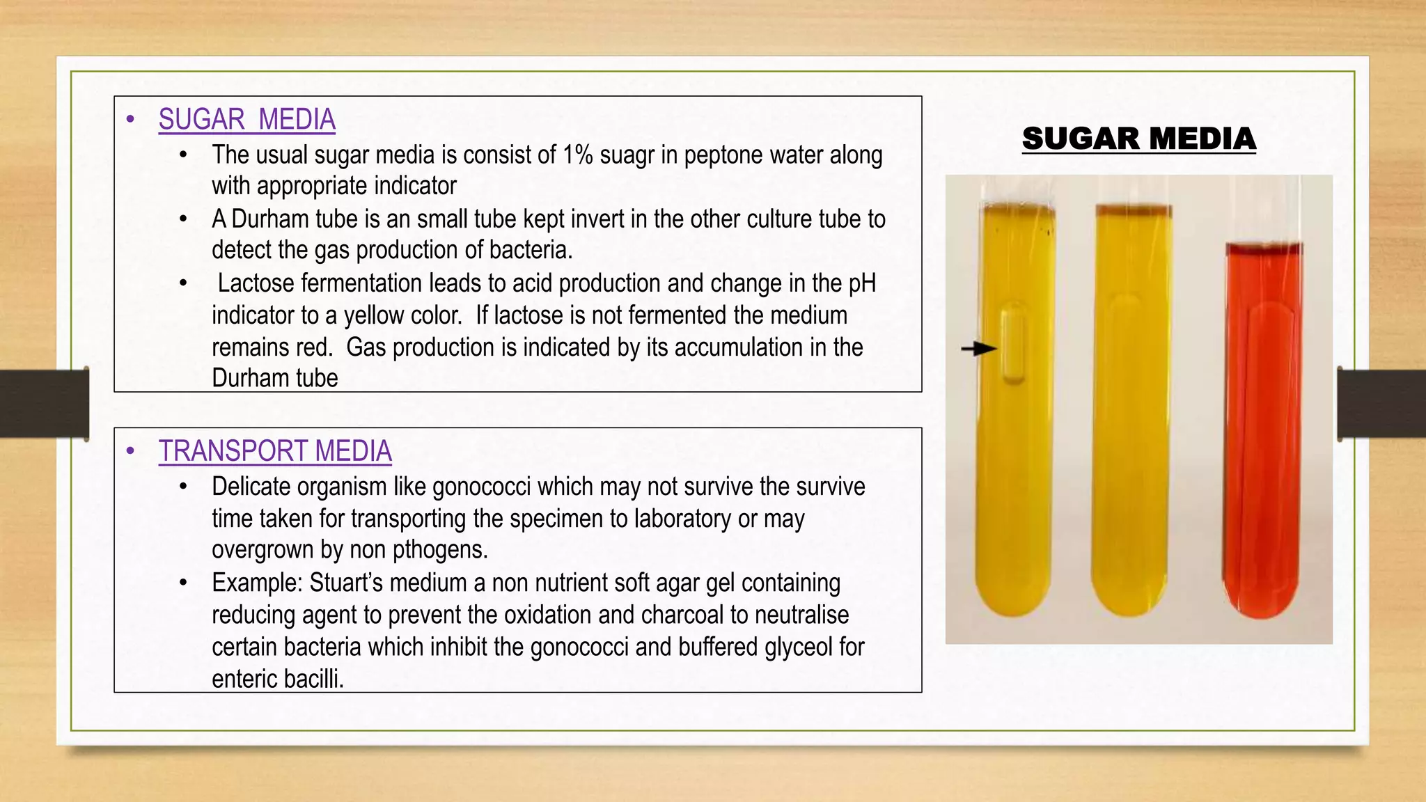 Cultivation of bacteria | PPTX