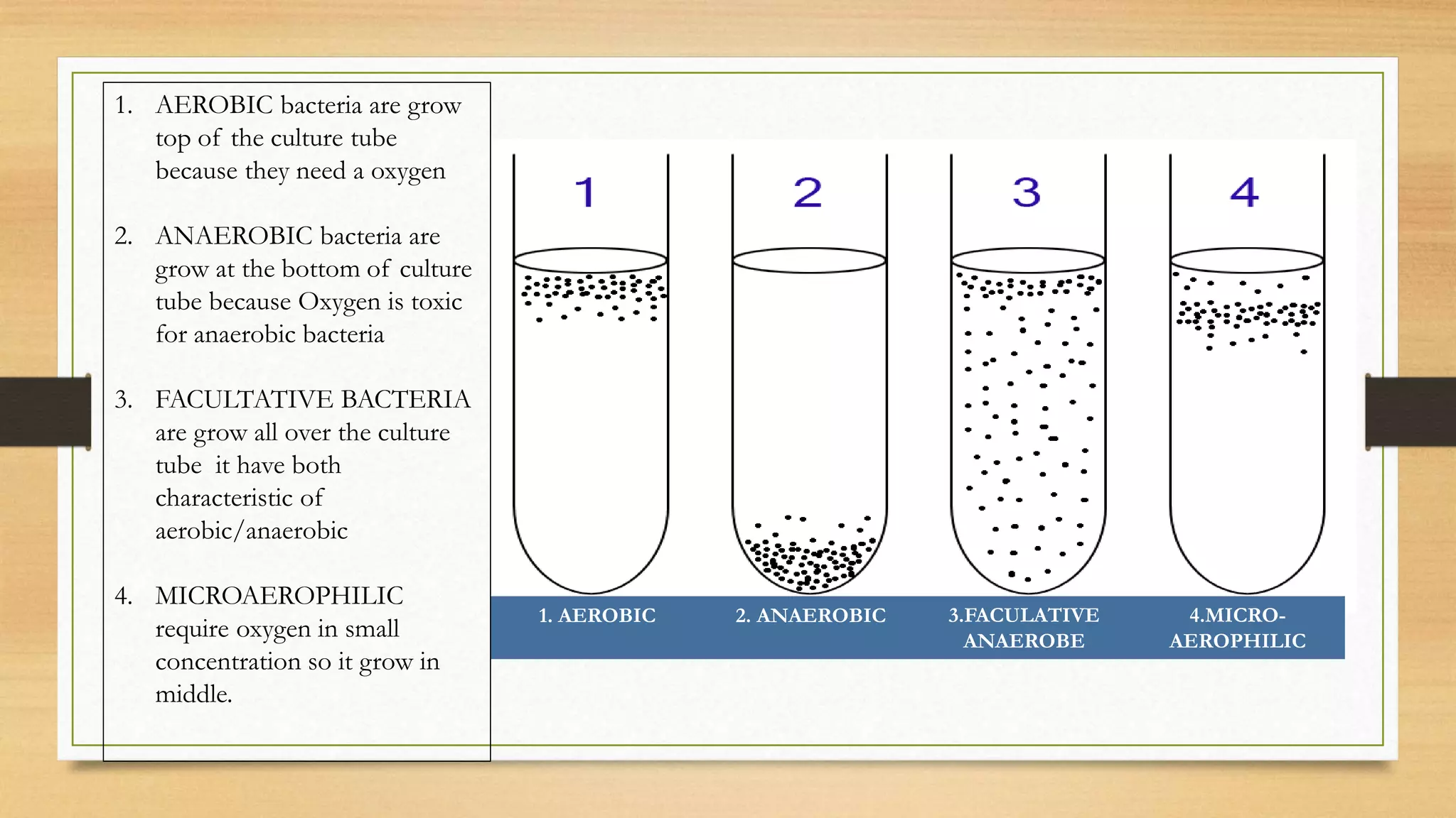 Cultivation of bacteria | PPTX