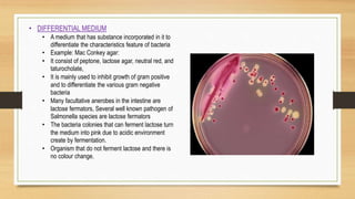 Cultivation of bacteria | PPTX