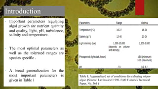 Culture of blue green algae | PPTX