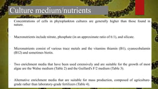 Culture of blue green algae | PPTX