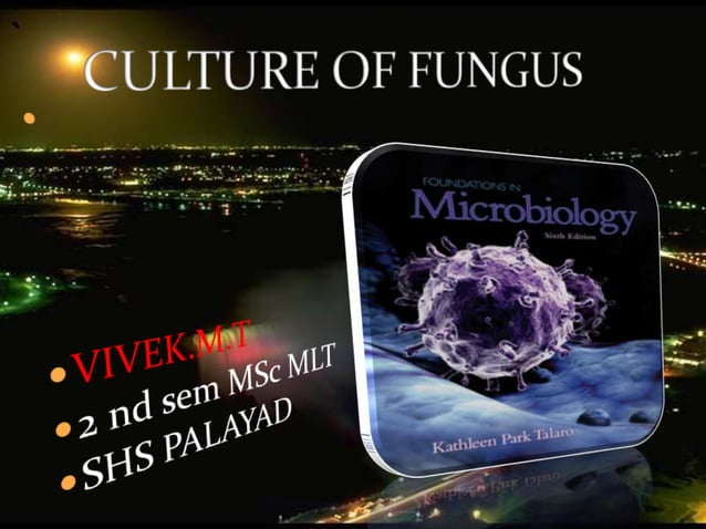 Culture of fungus | PPTX | Infectious Diseases | Diseases and Conditions