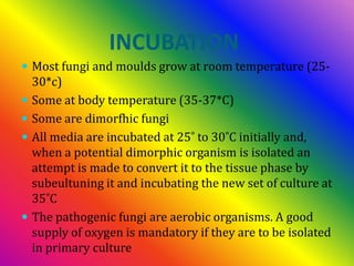 Culture of fungus | PPTX