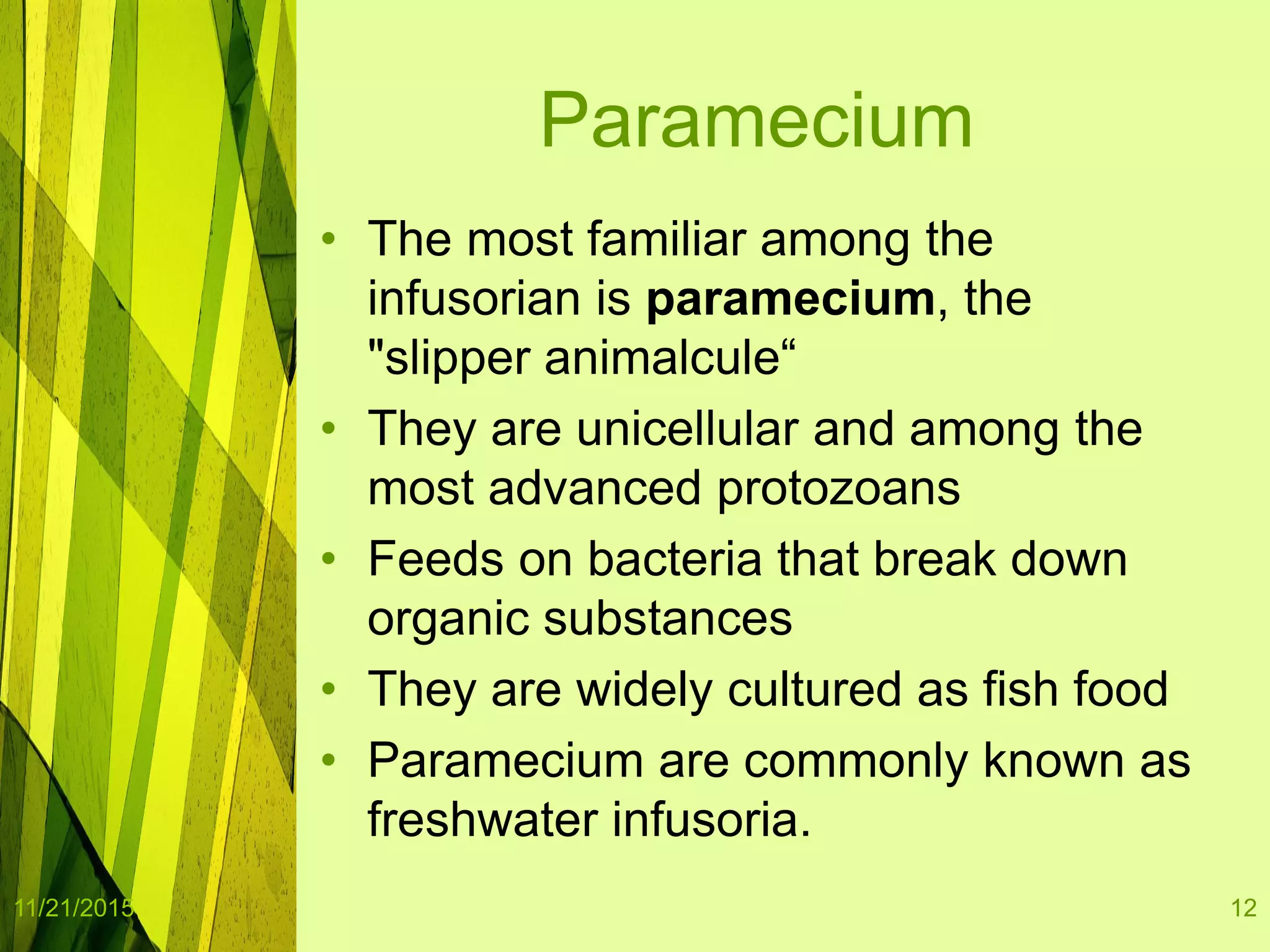 Culture of infusoria | PPTX