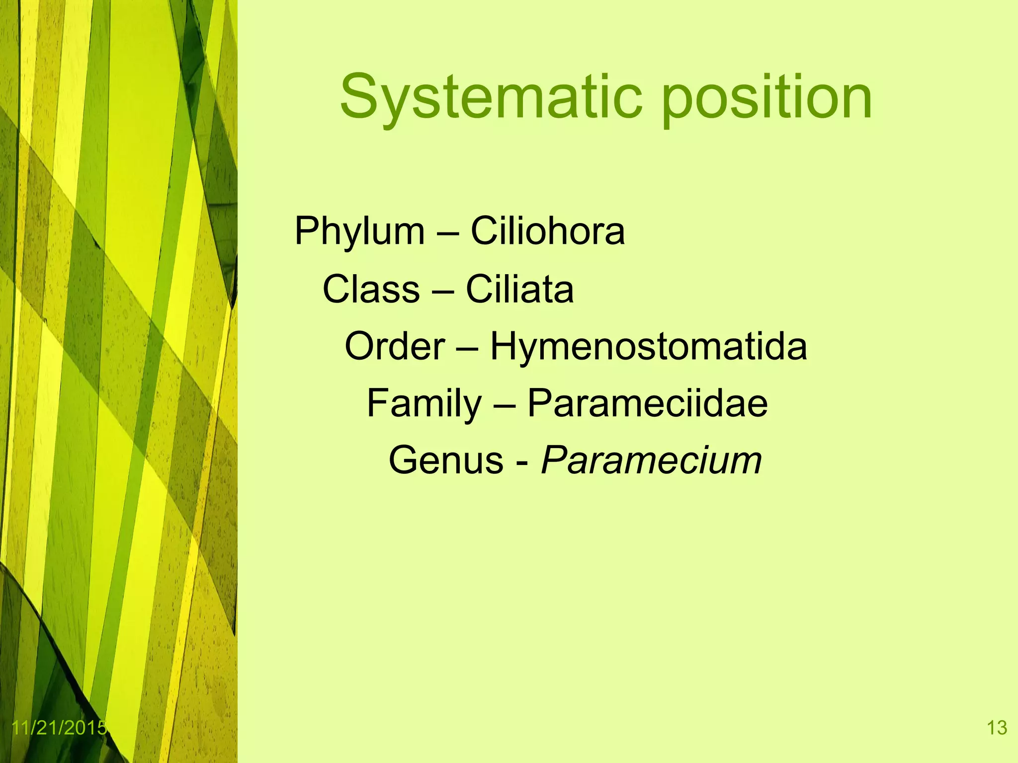 Culture of infusoria | PPTX