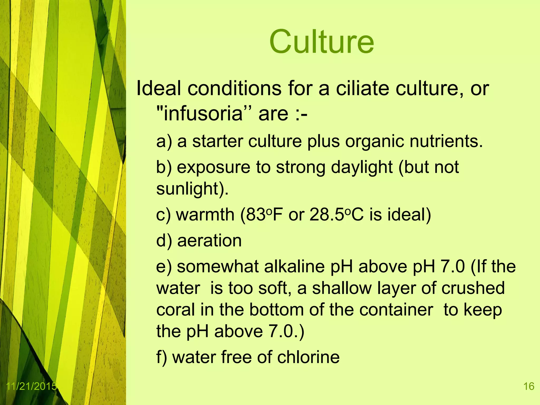 Culture of infusoria | PPTX