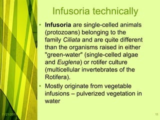 Culture of infusoria | PPTX