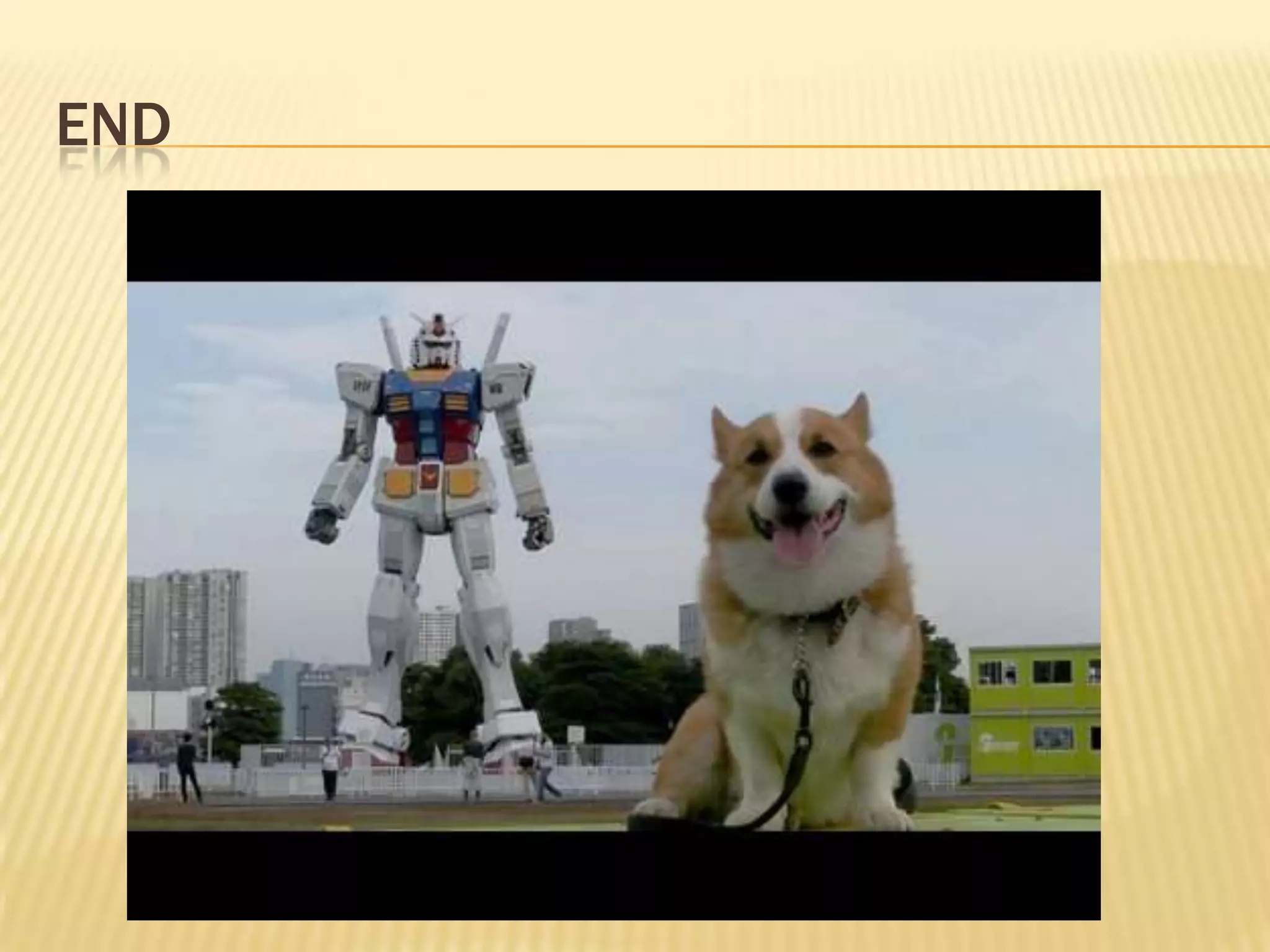 Alli 5M culture | PPTX