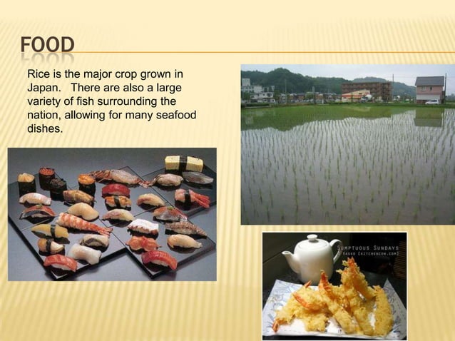 Alli 5M culture | PPTX