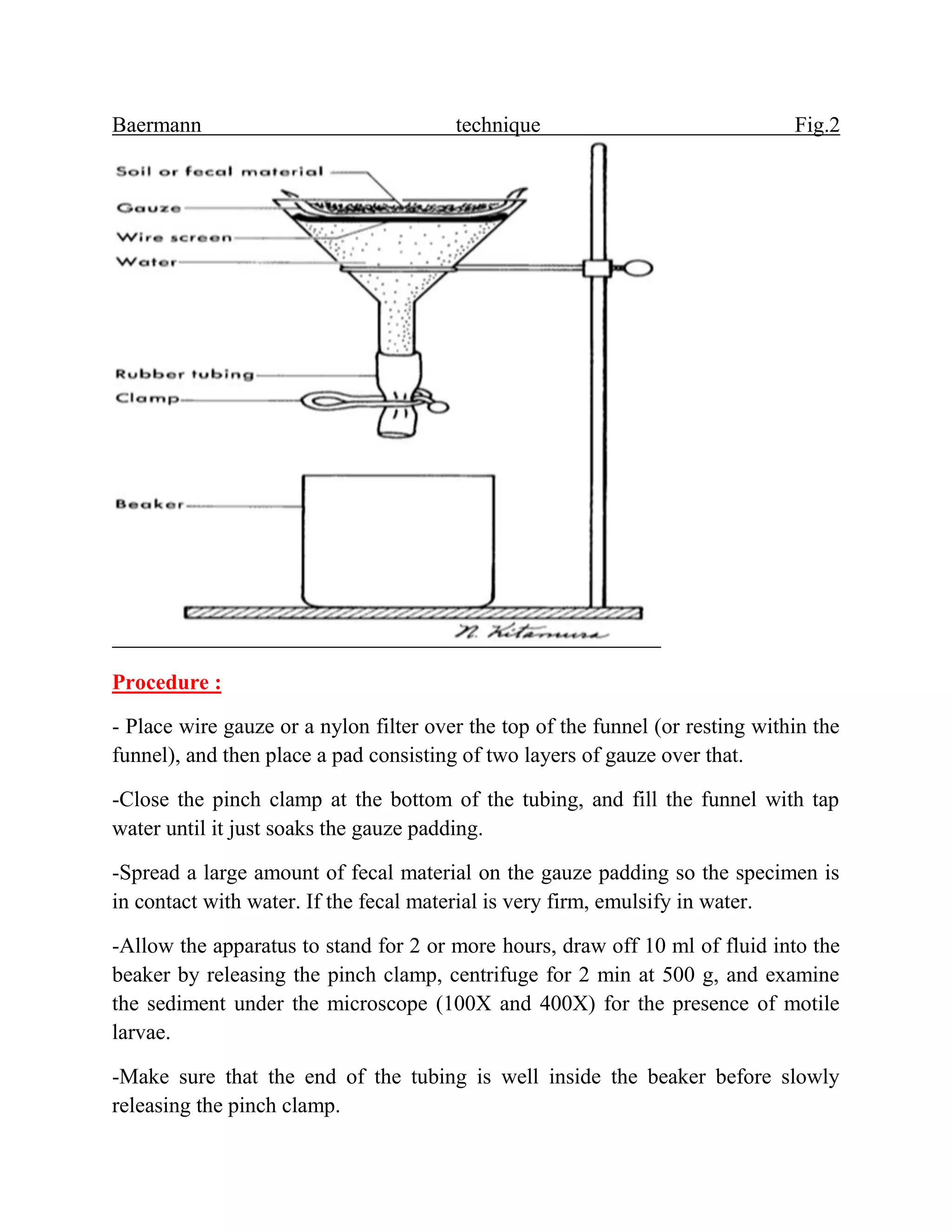 Culture of larval stage of nematodes | PDF