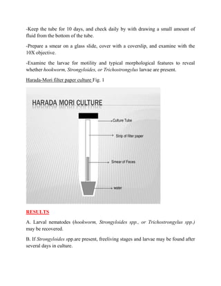 Culture of larval stage of nematodes | PDF