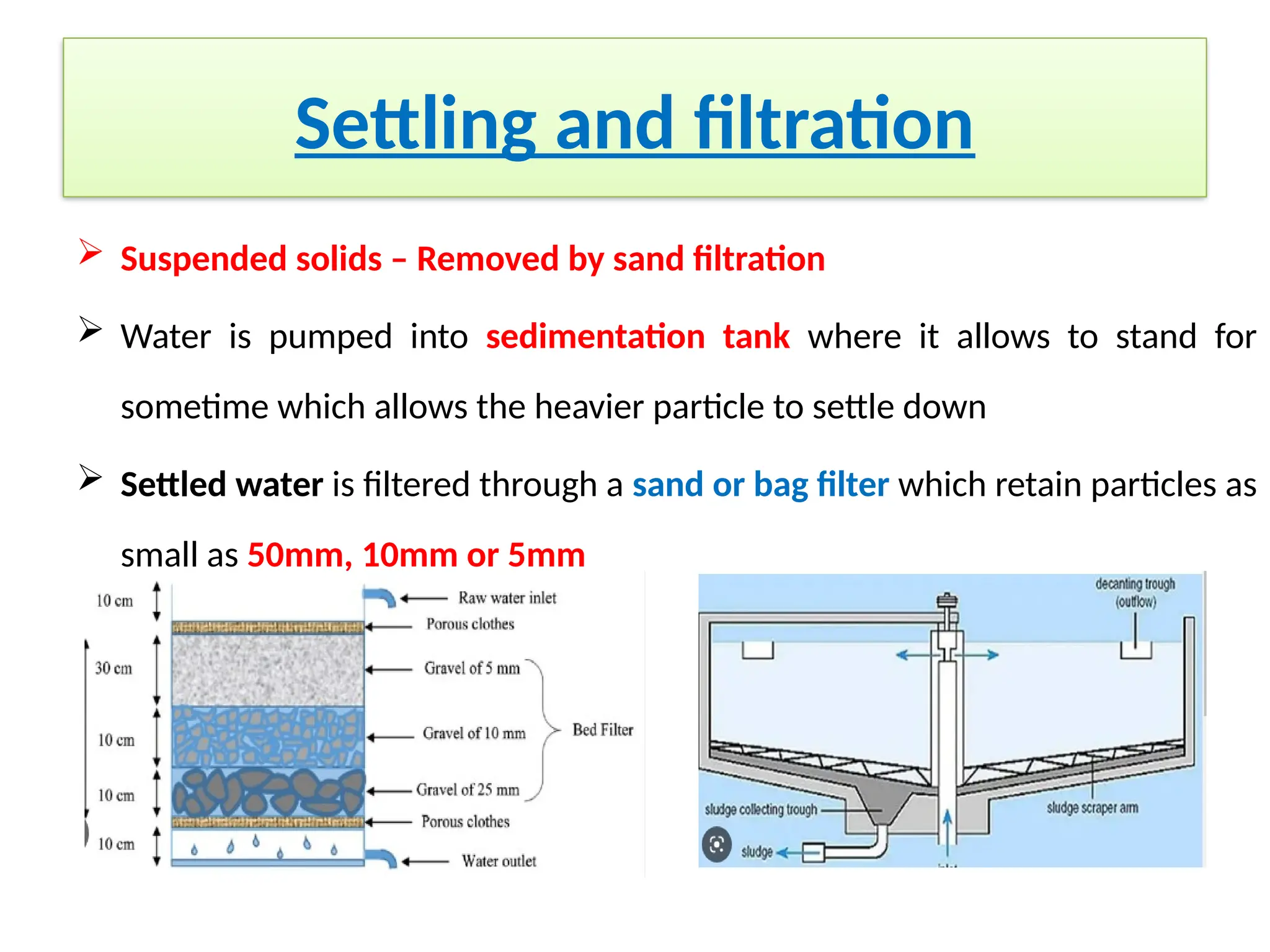 Culture of microalgae - Live feed culture - FISH FOOD ORGANISMS | PPTX