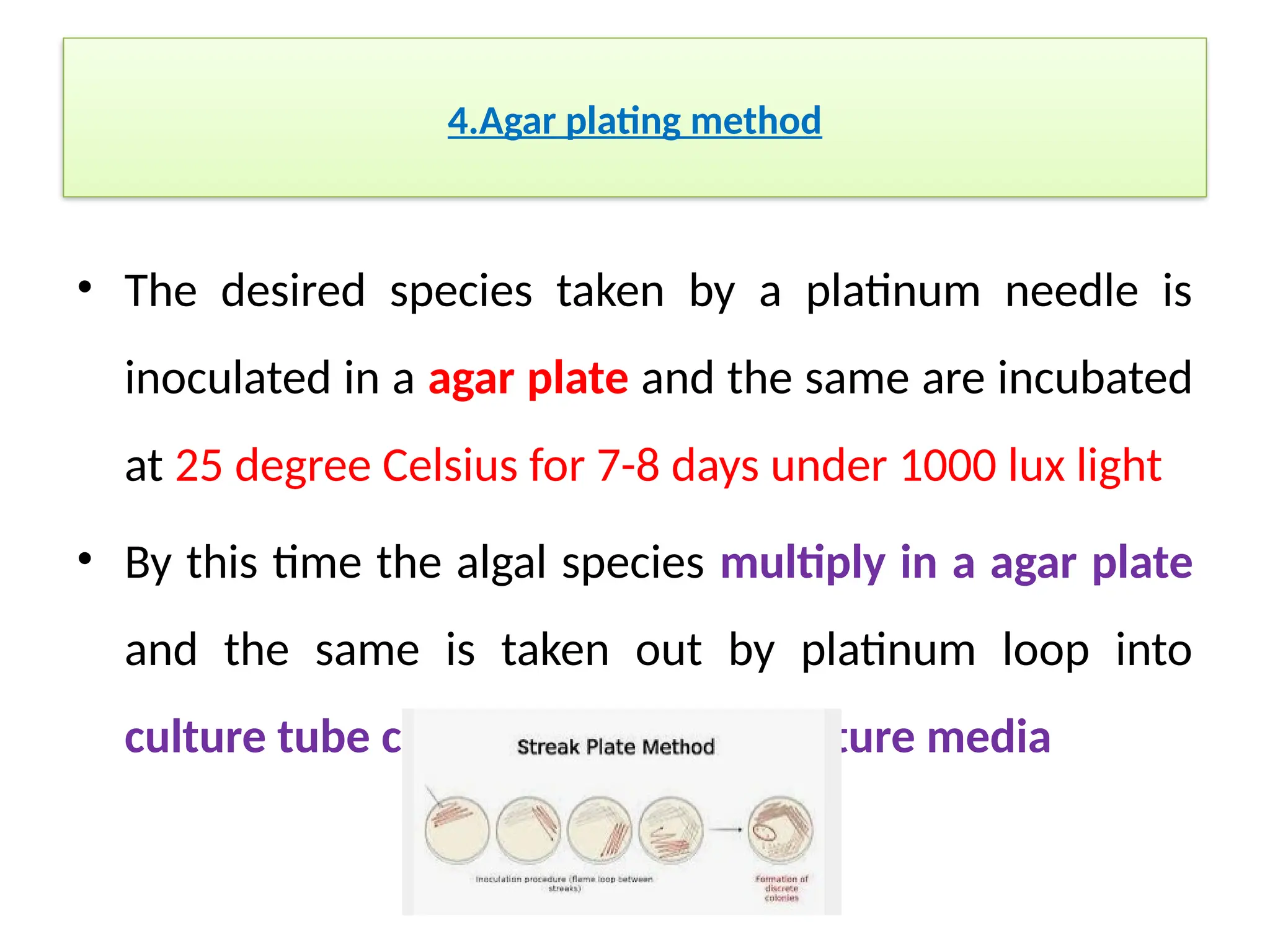 Culture of microalgae - Live feed culture - FISH FOOD ORGANISMS | PPTX