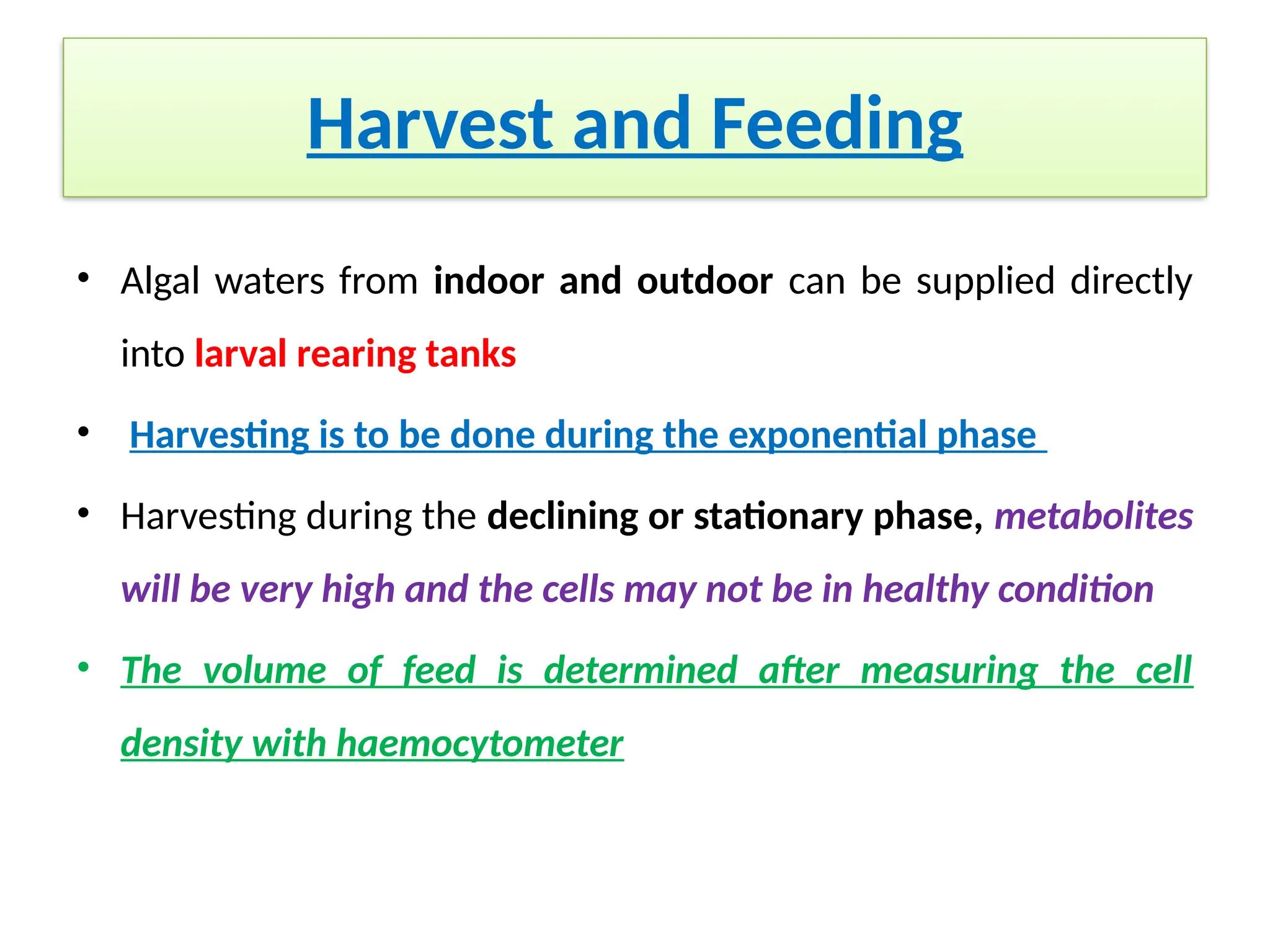 Culture of microalgae - Live feed culture - FISH FOOD ORGANISMS | PPTX