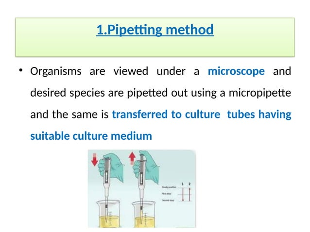 Culture of microalgae - Live feed culture - FISH FOOD ORGANISMS | PPTX ...