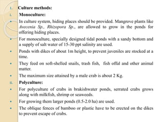 Culture of mud crab | PPTX