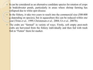 Culture of mud crab | PPTX