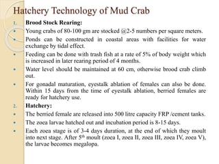 Culture of mud crab | PPTX