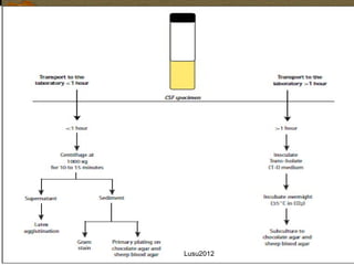 Culture of normally sterile fluids | PPT